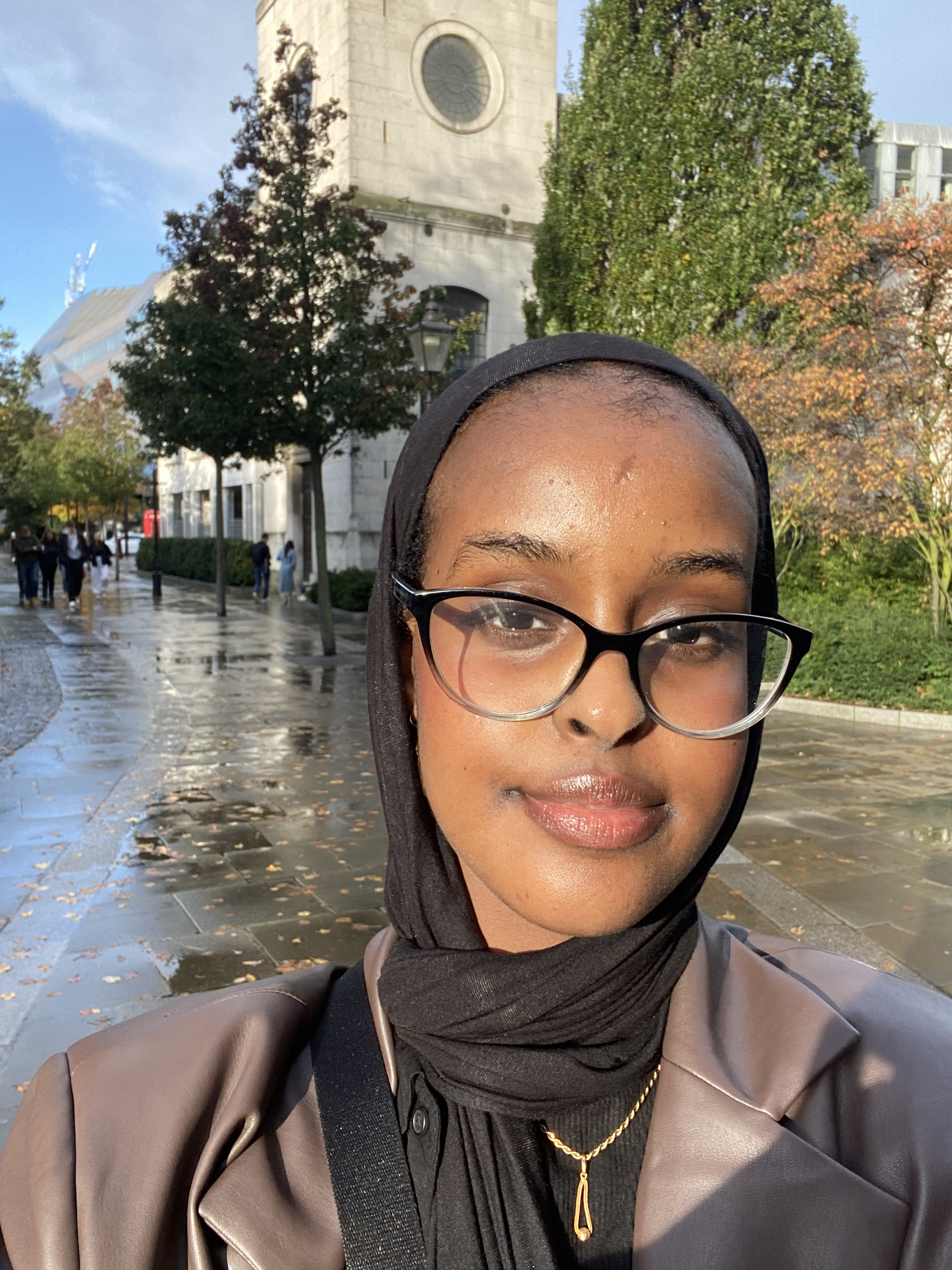 Amaal's bootstrap portfolio